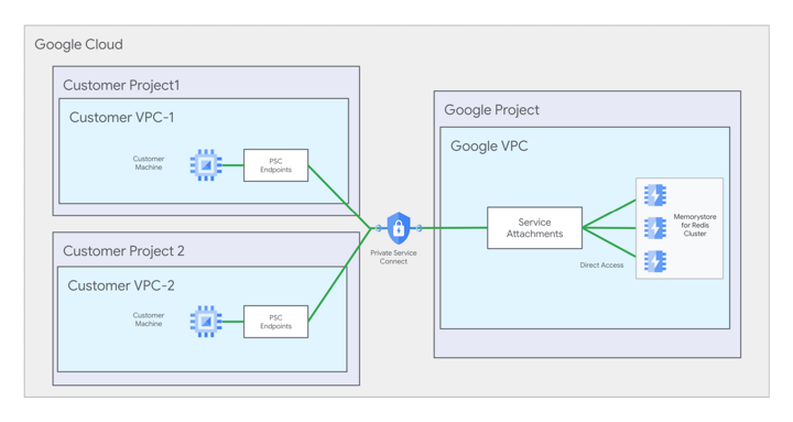 Set up multiple VPC networks for instances provisioned with automatically registered connections ...